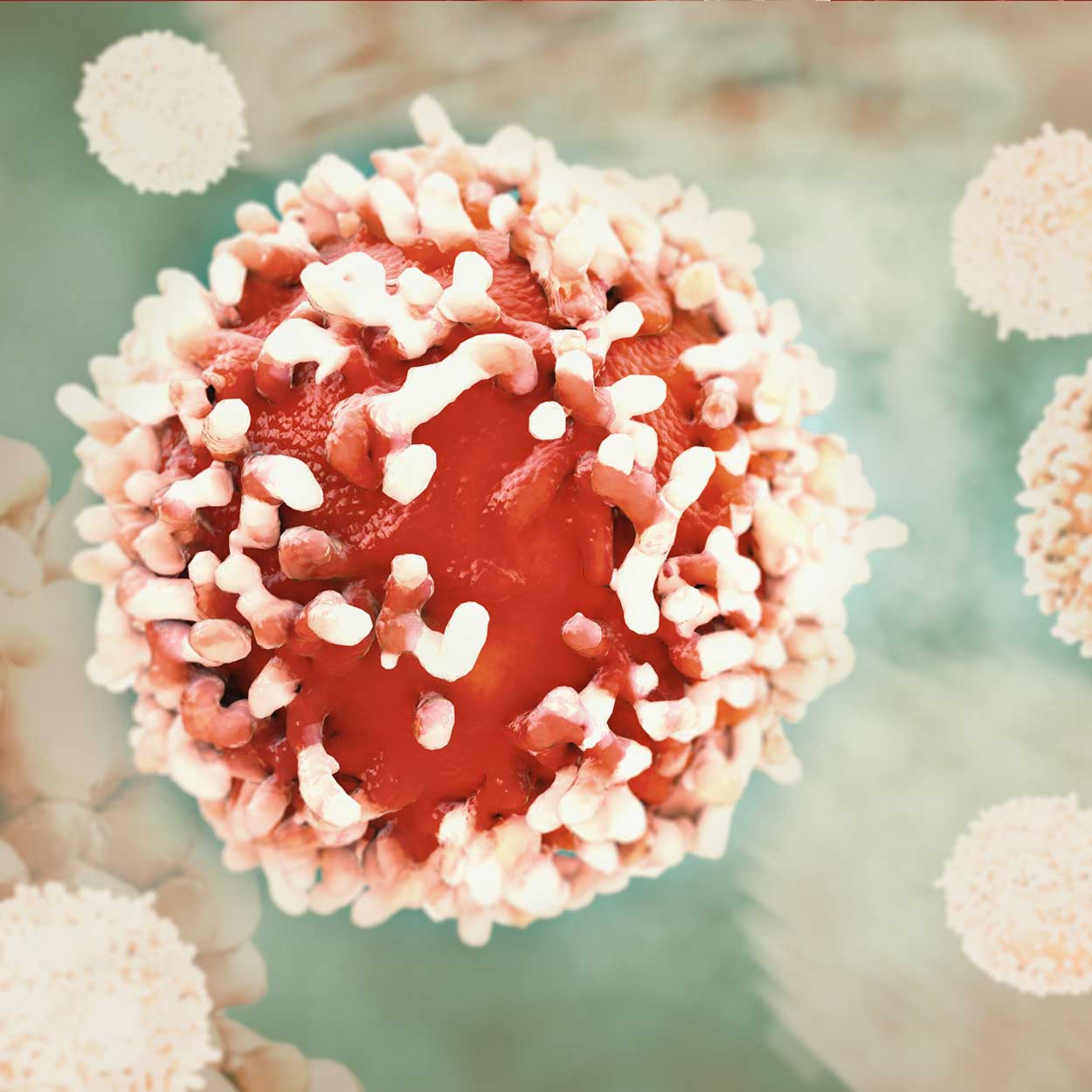 Knochenmarkpunktion - Zentrum für Hämatologie und Onkologie München